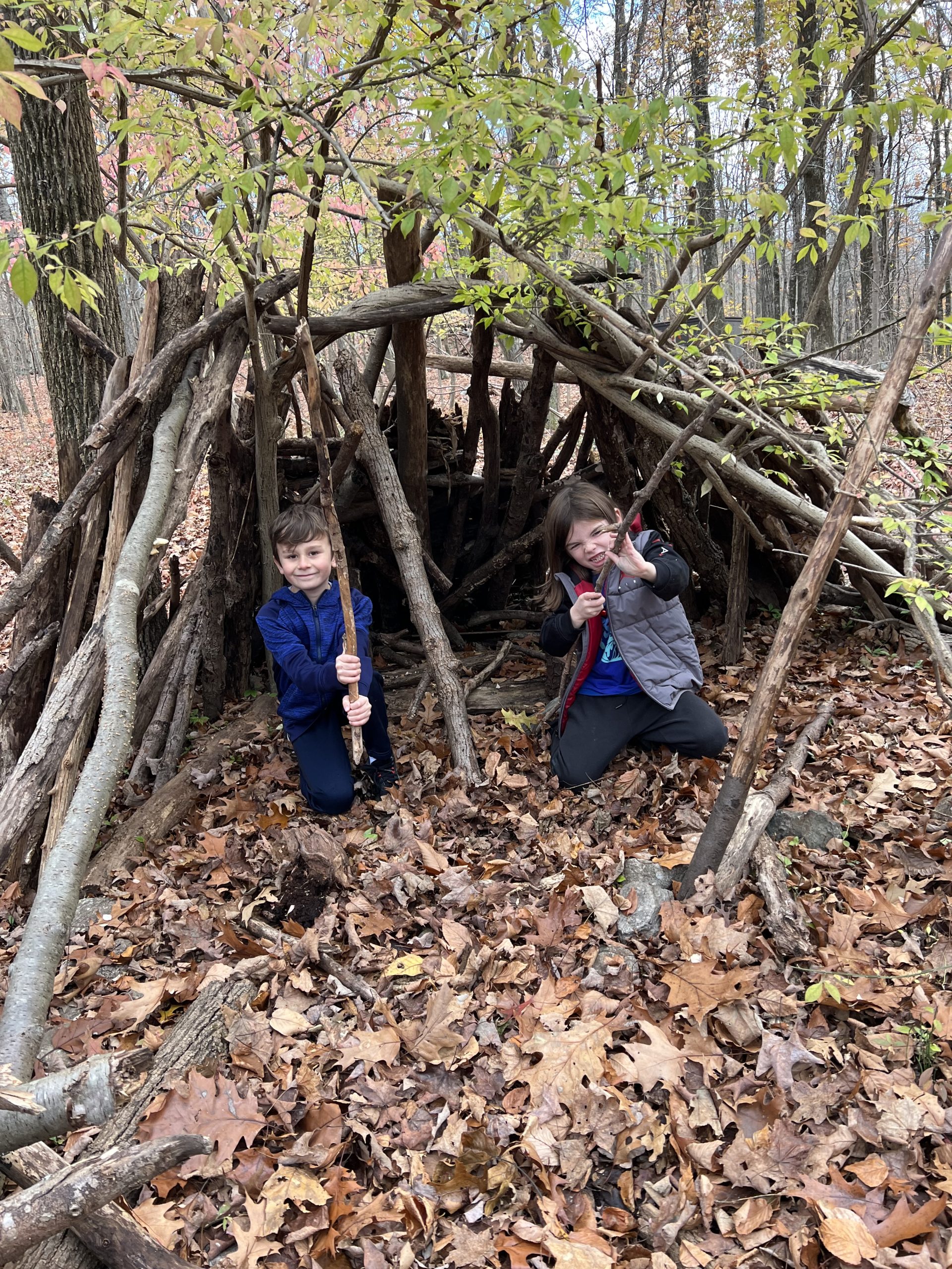 Camp | Central Connecticut Coast YMCA Central Connecticut Coast YMCA